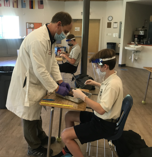 Employment EMPLOYMENT - FBRA